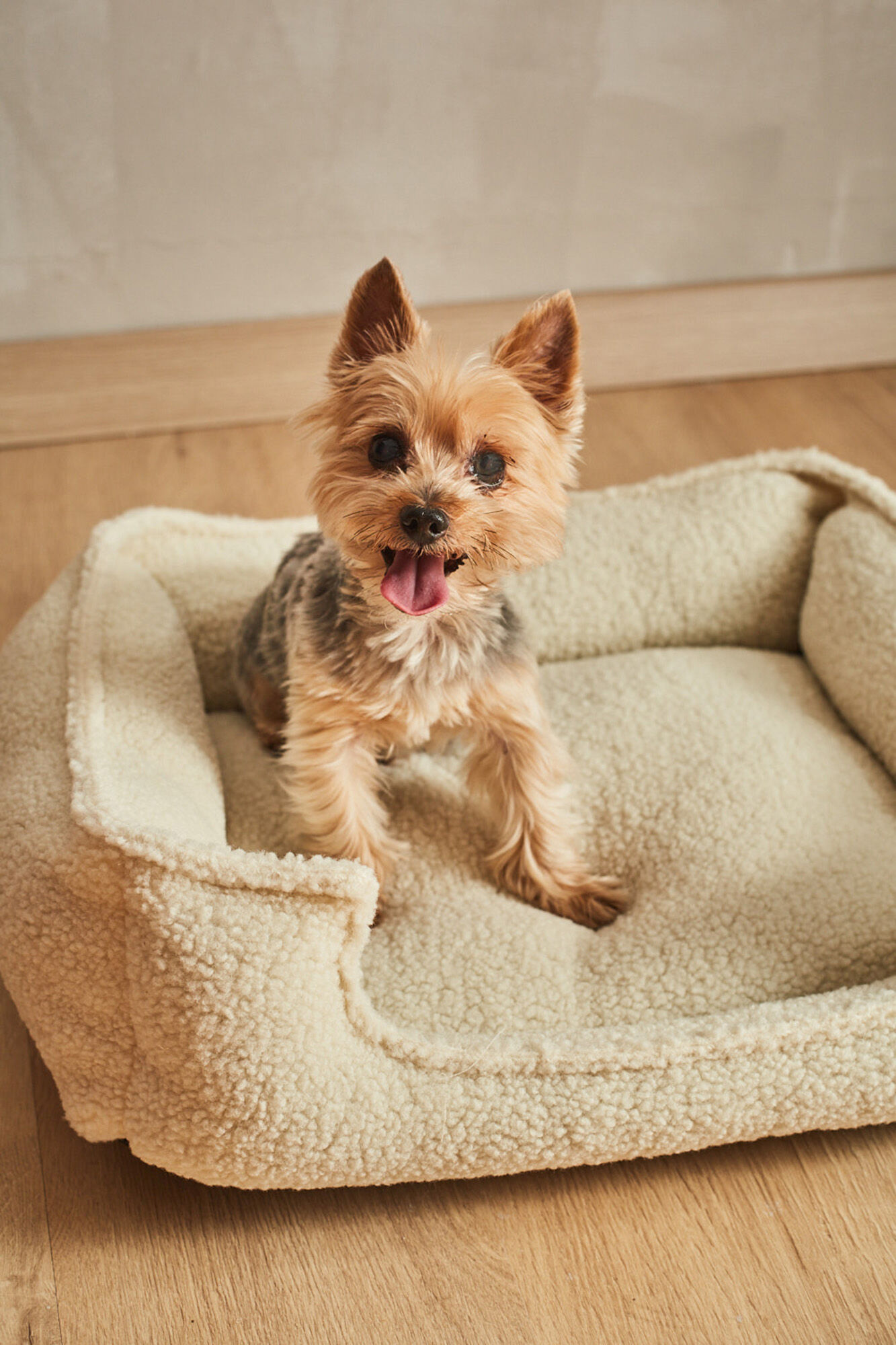 Cama para animais de estimação desmontável Henry, em cru | Acessórios ...