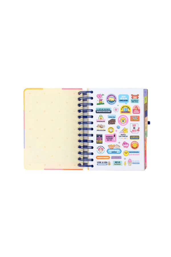 Agenda Mr. Wonderful petite 226-27 Journalier - La pause parfaite ...